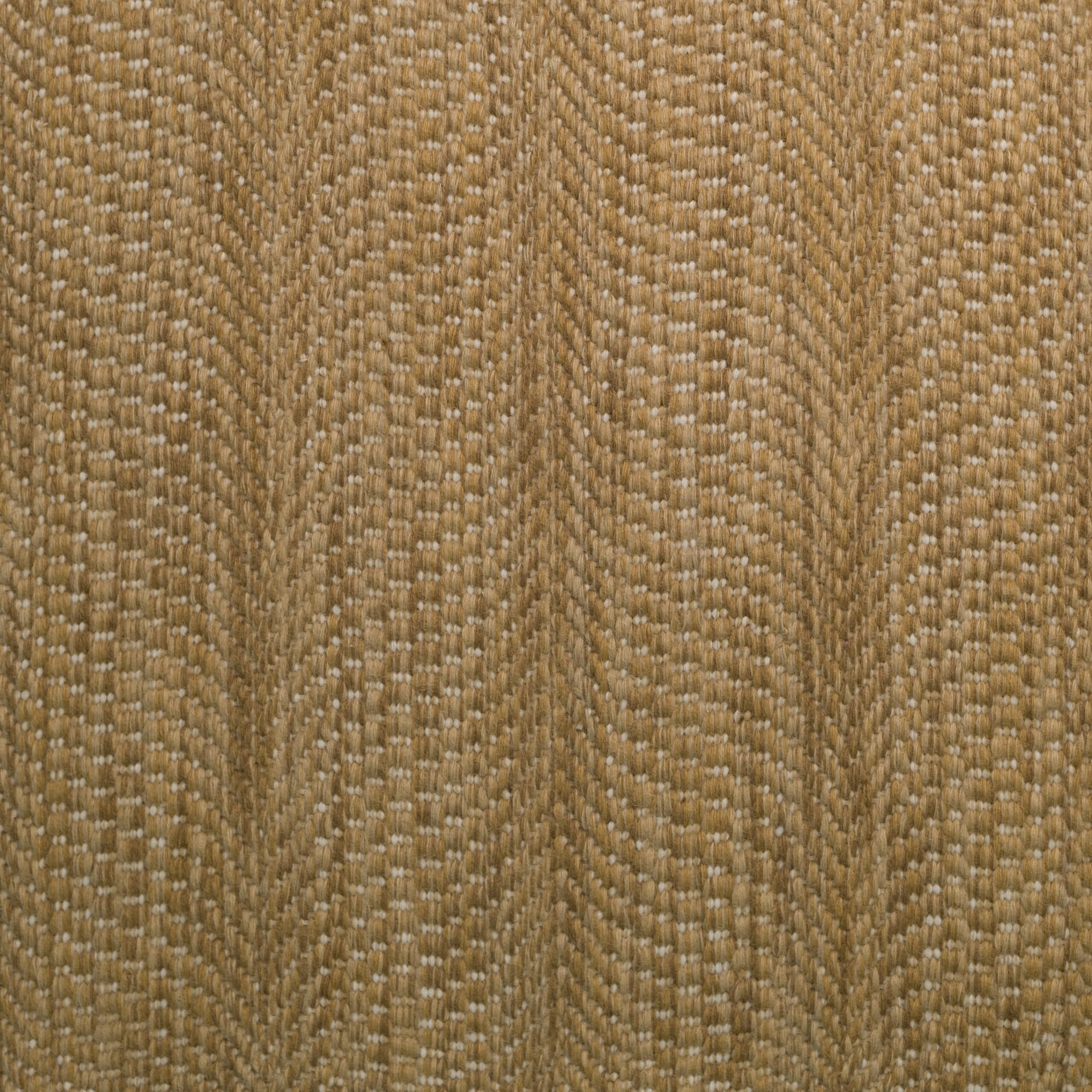 Elizabeth’s Cloth Curves Group – Elizabeth Eakins