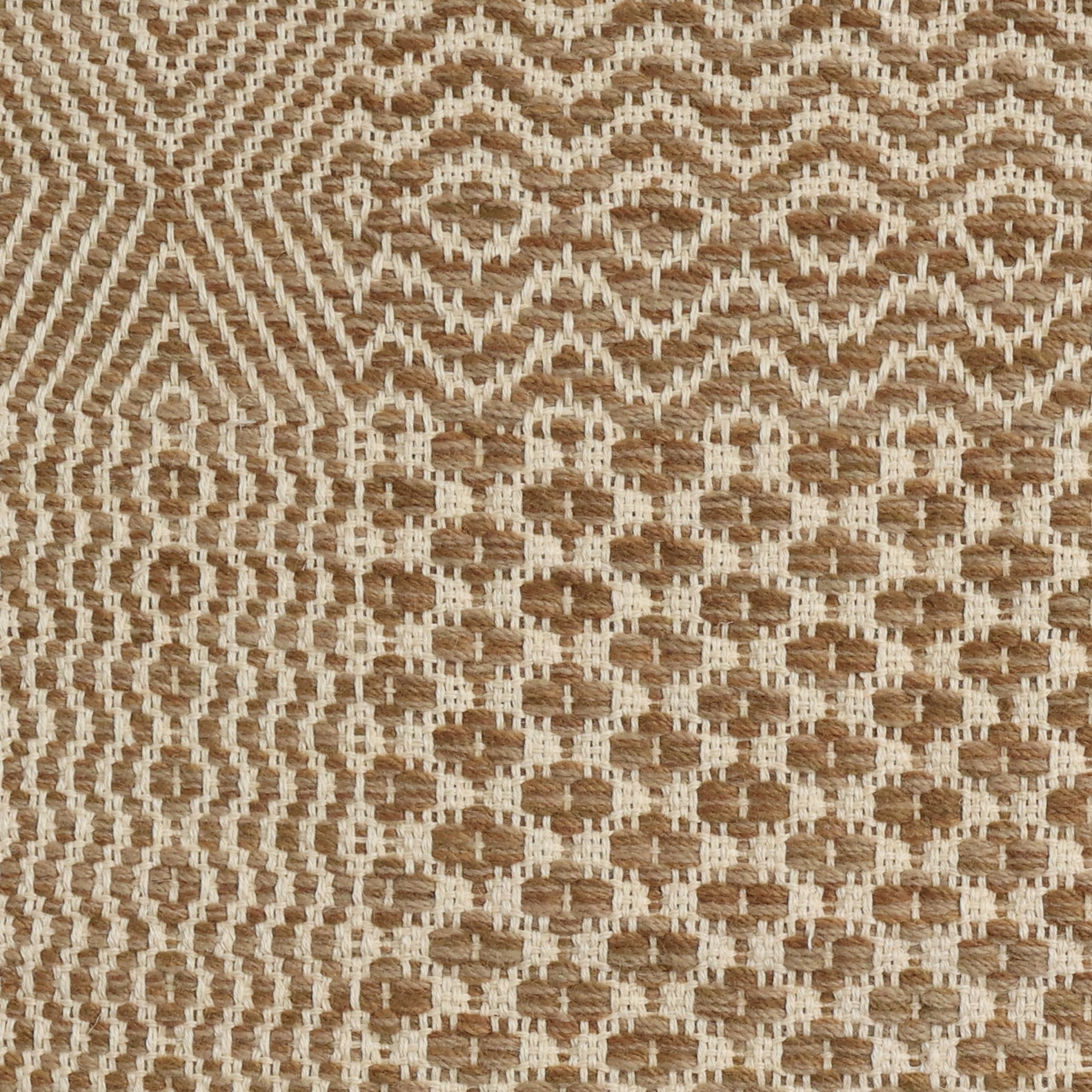 Teff Cooley’s Grid Group – Elizabeth Eakins