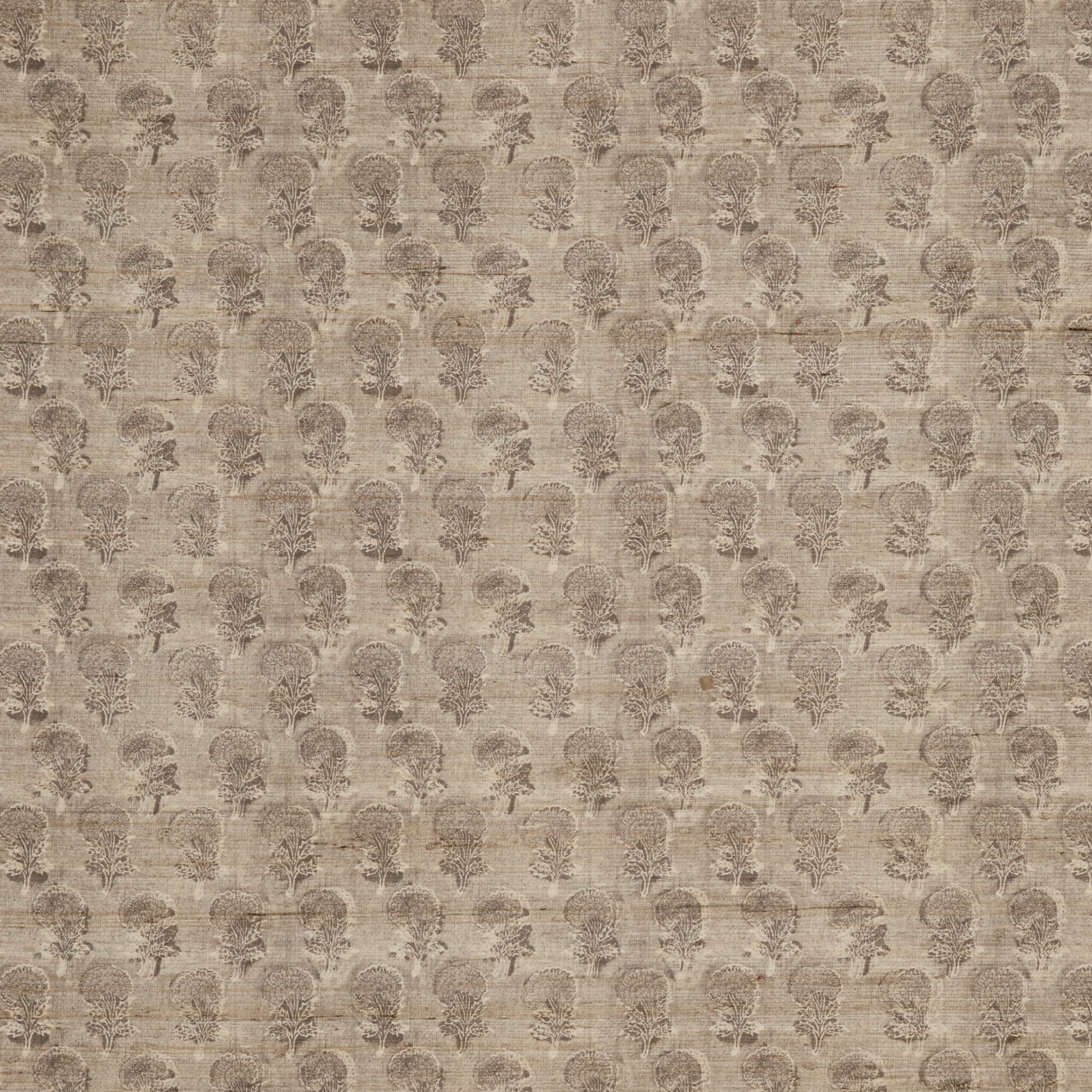 Badhu Group – Elizabeth Eakins