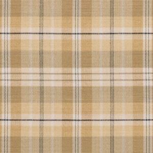 Cotton Collection – Elizabeth Eakins