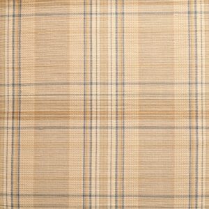 Cotton Collection – Elizabeth Eakins