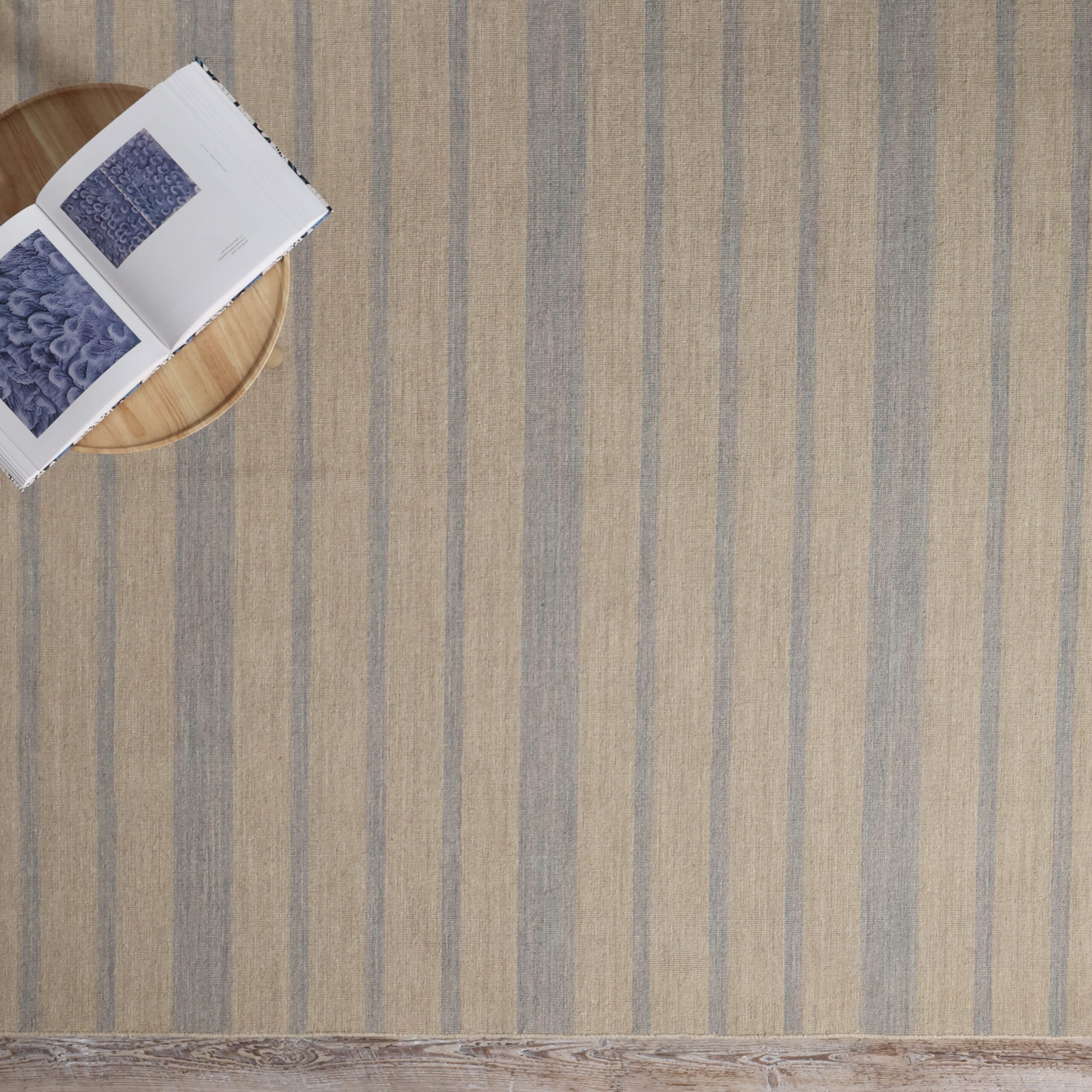 Elizabeth’s Cloth Striped Flatweaves Group – Elizabeth Eakins