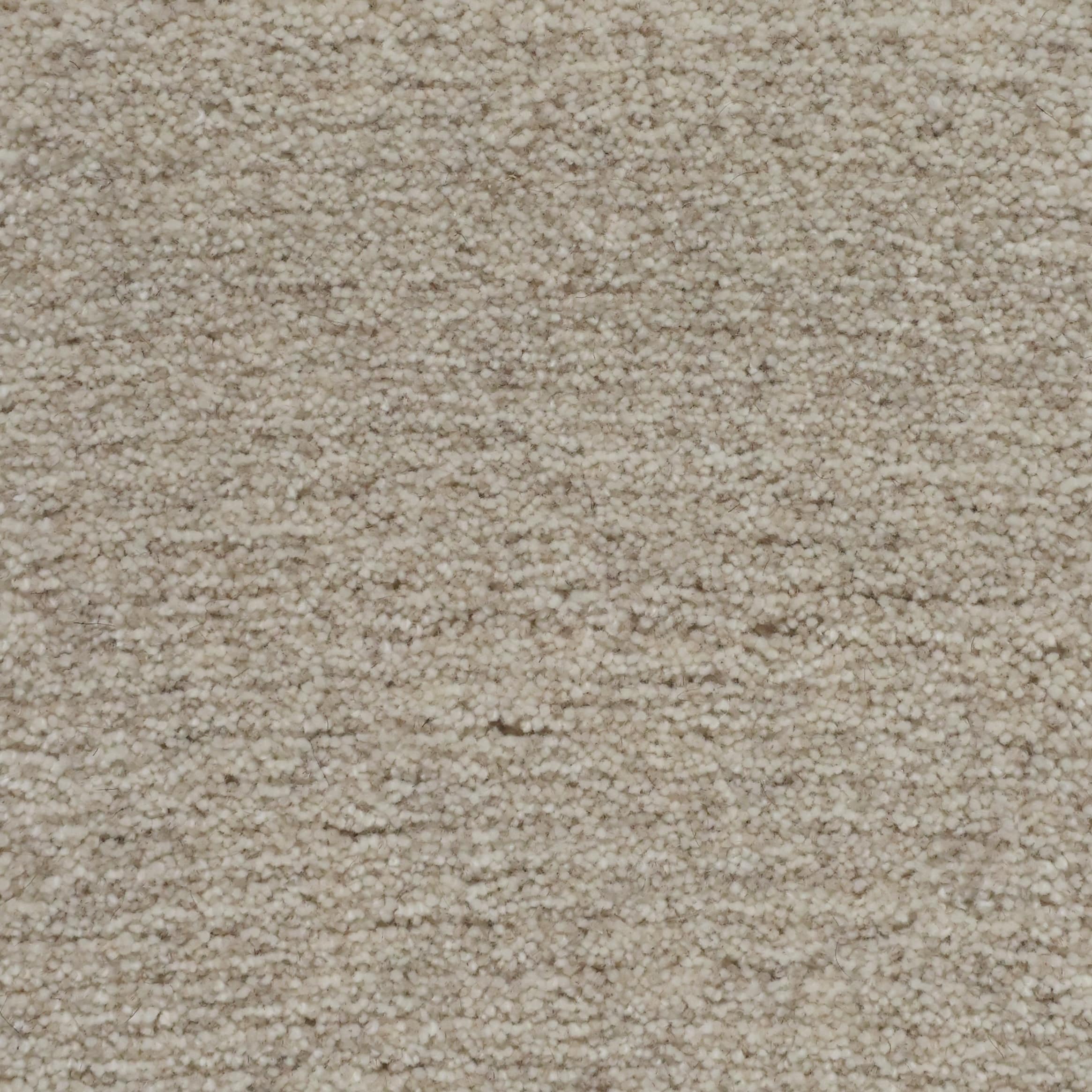 Signature Colors – Elizabeth Eakins