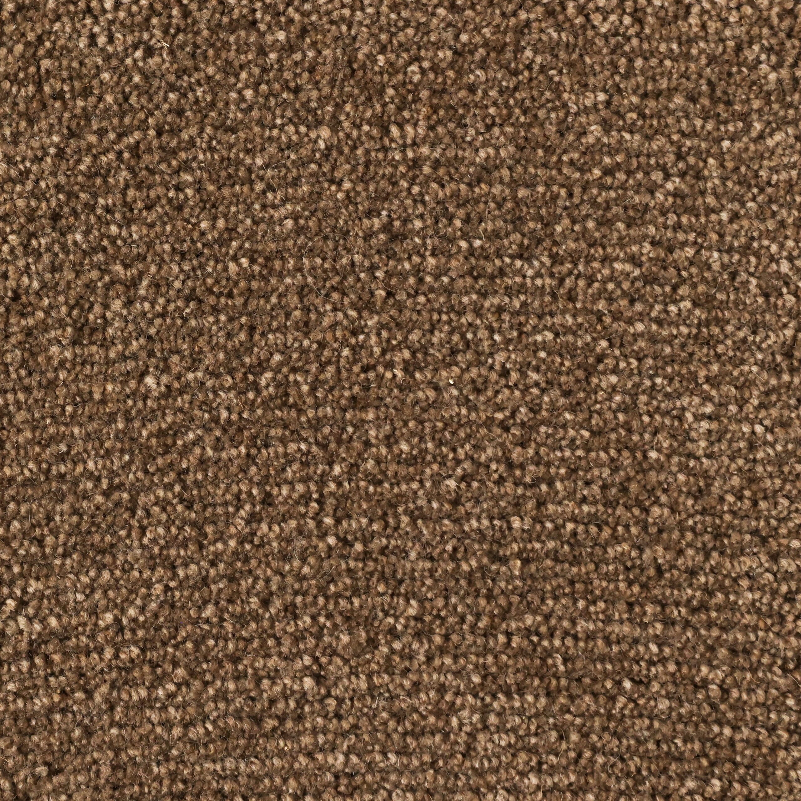 Signature Colors – Elizabeth Eakins