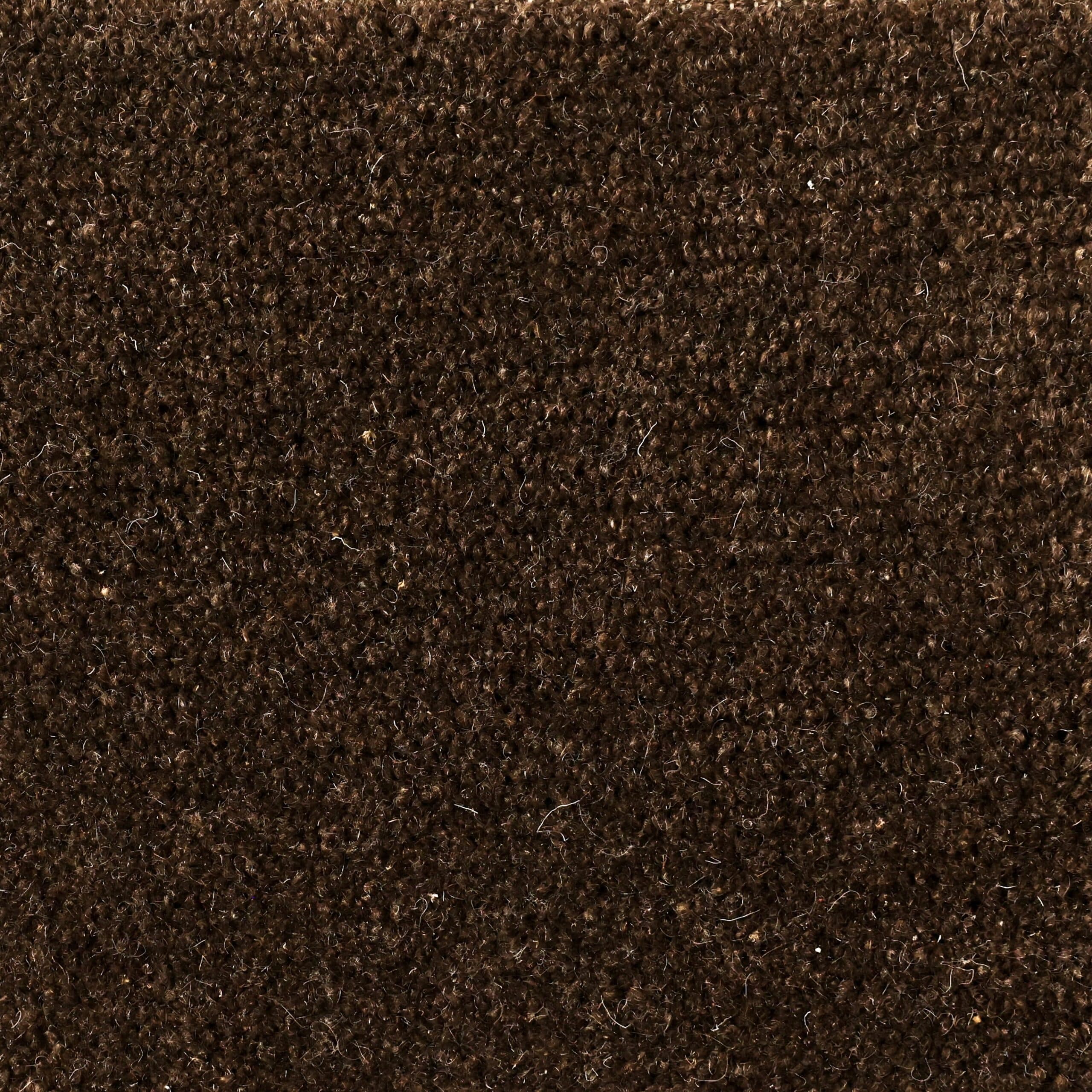 Signature Colors – Elizabeth Eakins