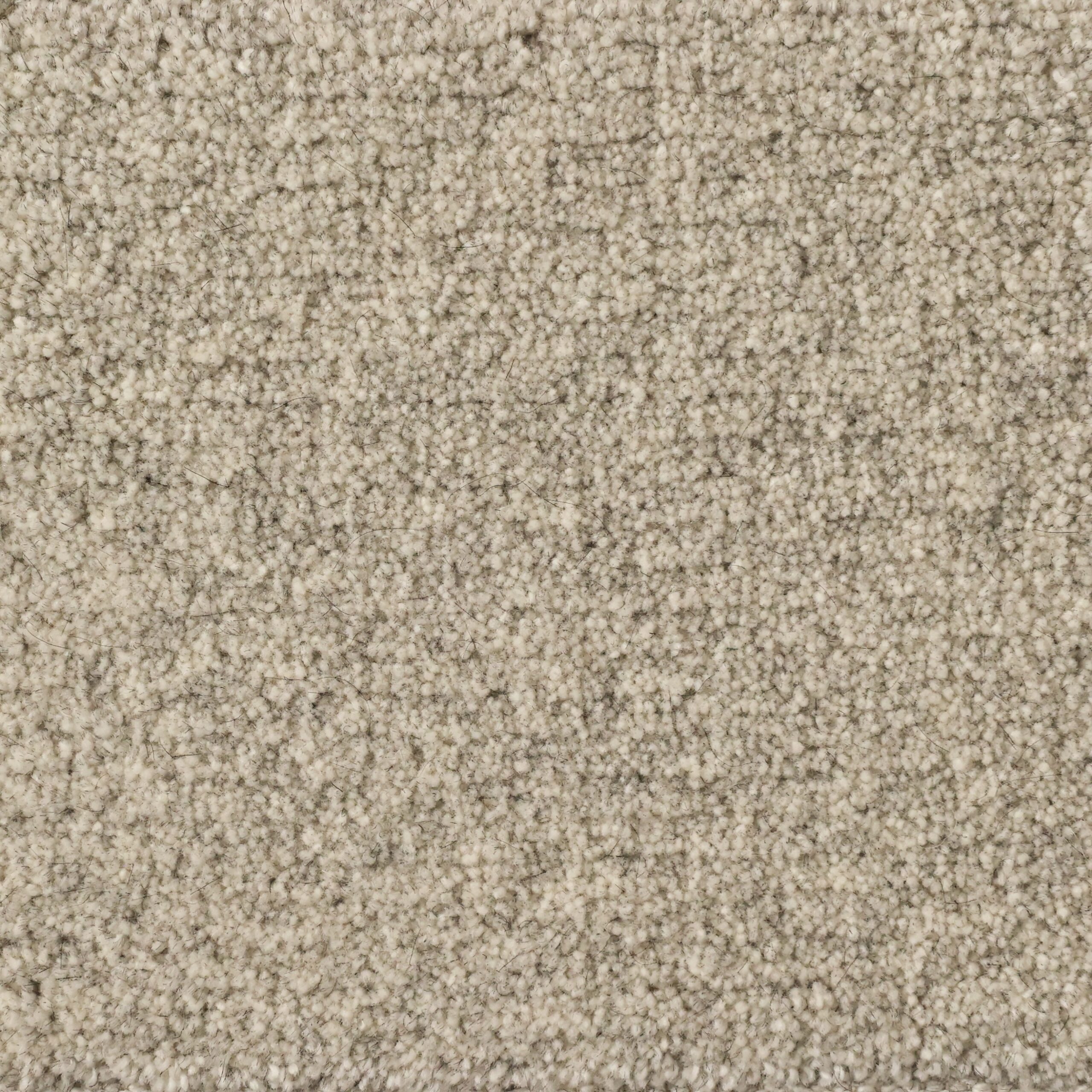 Signature Colors – Elizabeth Eakins