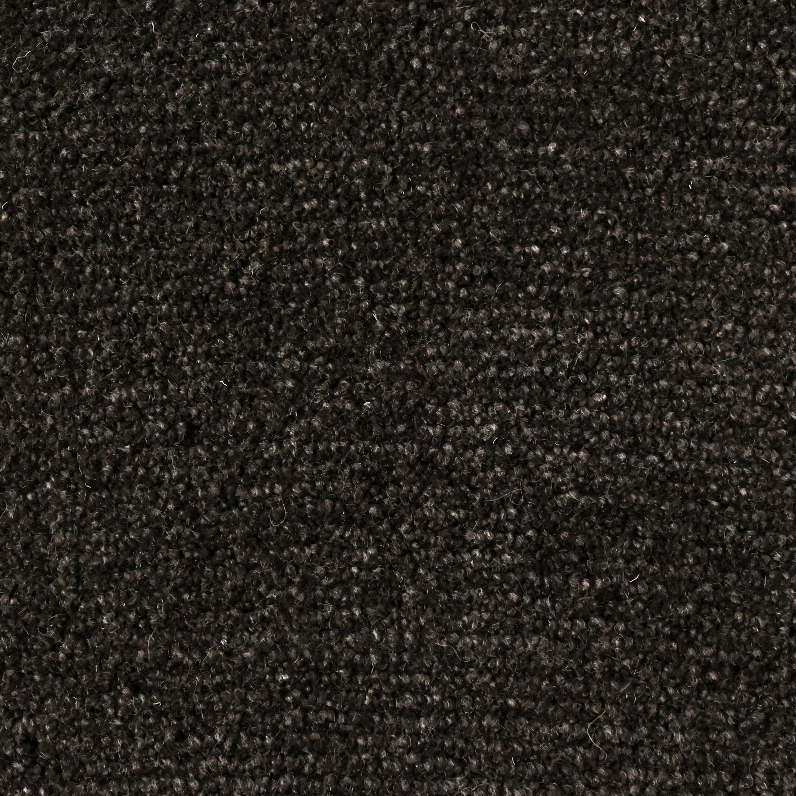 Signature Colors – Elizabeth Eakins